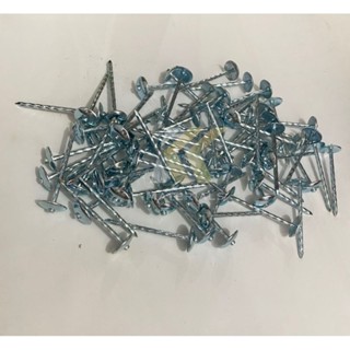 Jual PAKU SENG ULIR 2 1/2 INCI / PAKU PAYUNG / PAKU ATAP SENG / ROOFING ...