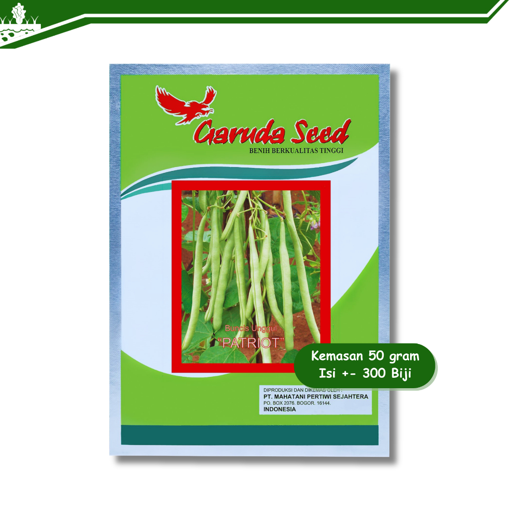Jual Benih bibit buncis biji hitam unggul garuda seed patriot 50 gram ...