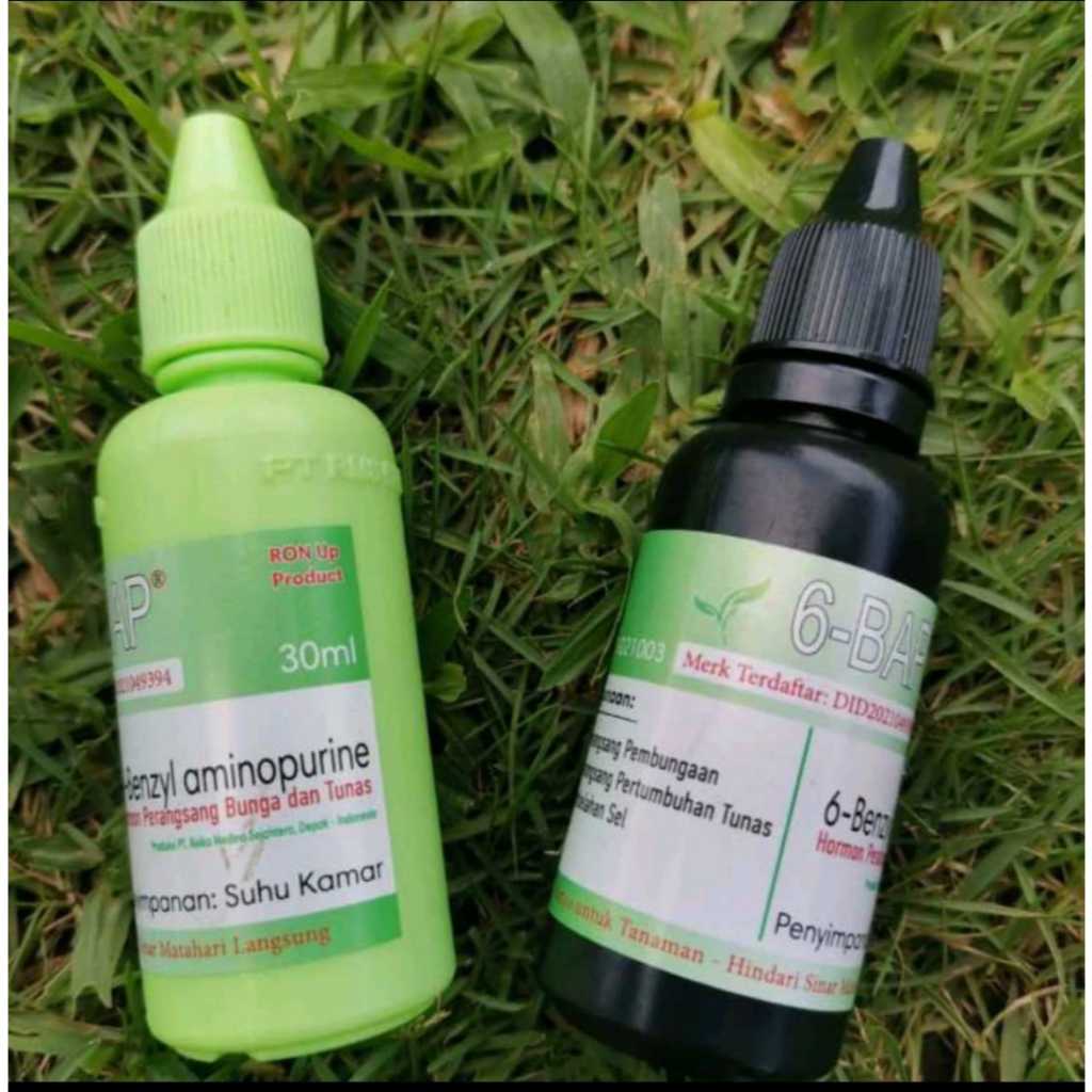 Jual 6 BAP hormon tanaman perangsang bunga dan tunas Anggrek tanaman ...