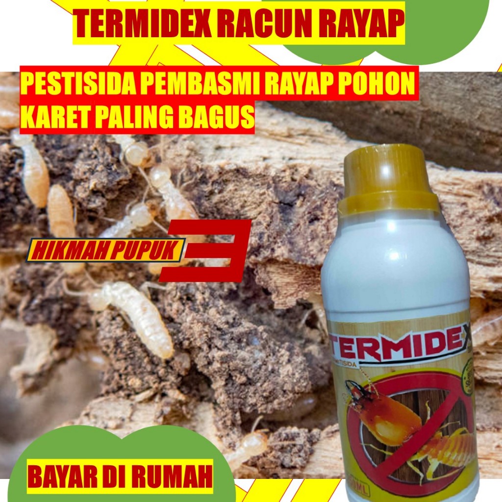 Jual RACOON HAMA RAYAP POHON KARET 250 ML TERMIDEX MURAH INSEKTISIDA ...