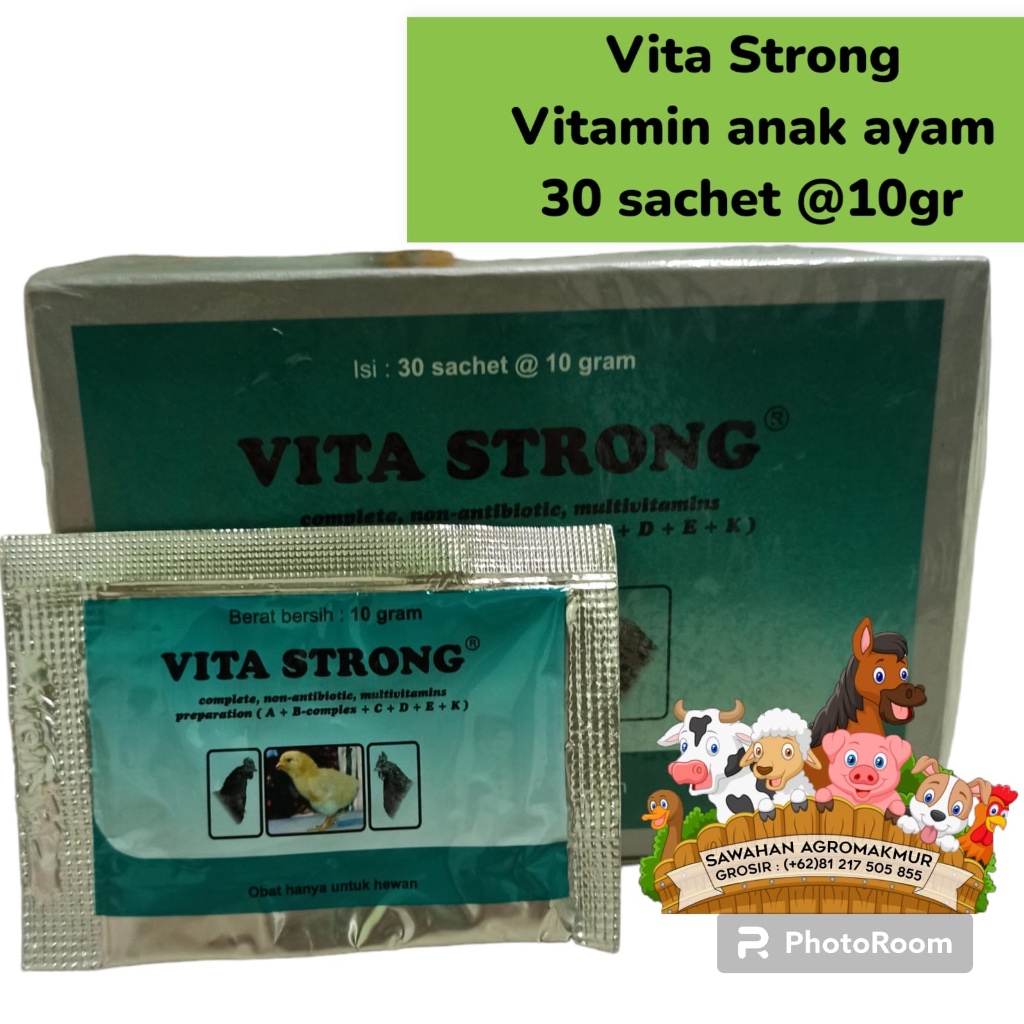 Jual 1 dus isi 30 sachet Vita Strong 10 gram vitamin tulang kalsium ...