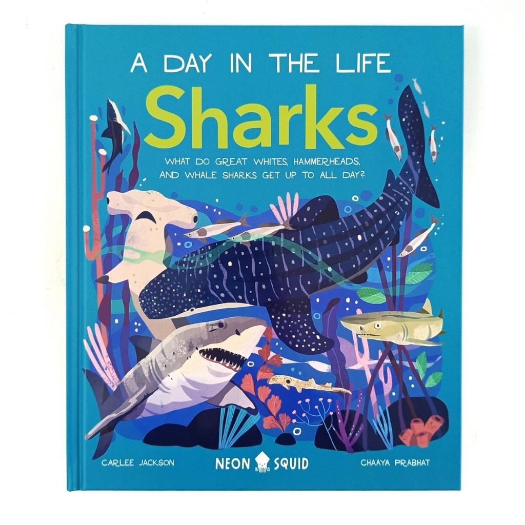 Jual ORIGINAL Neon Squid A Day In The Life Sharks - Leon Books | Shopee ...