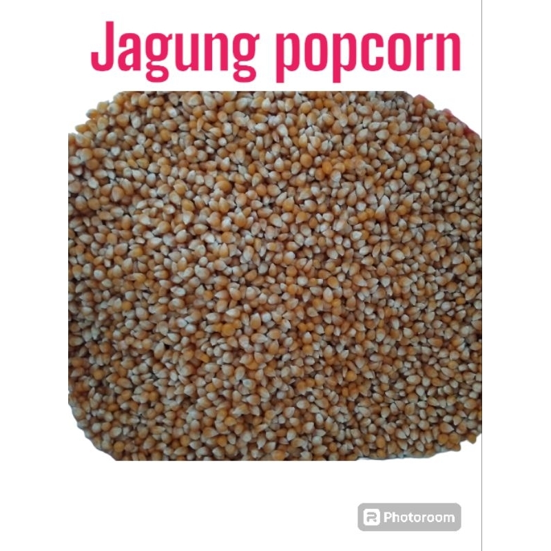 Jual jagung popcorn / biji jagung popcorn 1kg / popcorn | Shopee Indonesia
