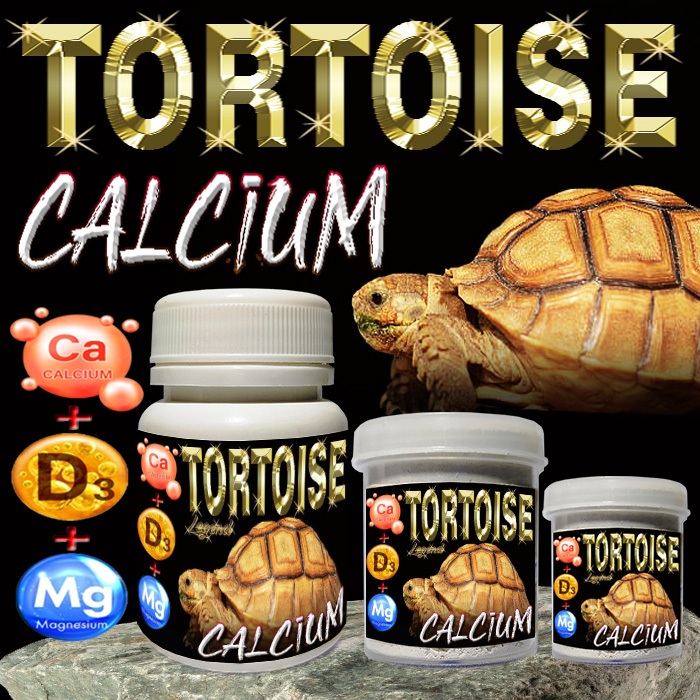 Jual TORTOISE CALCIUM + VITAMIN D3 KALSIUM BUBUK POWDER REPTILE TORTO ...