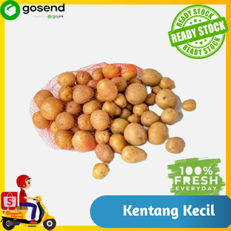 Jual Kentang Kecil | Shopee Indonesia