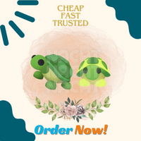 Jual NFR/FR Turtle - Adopt Me Pet Roblox | Shopee Indonesia