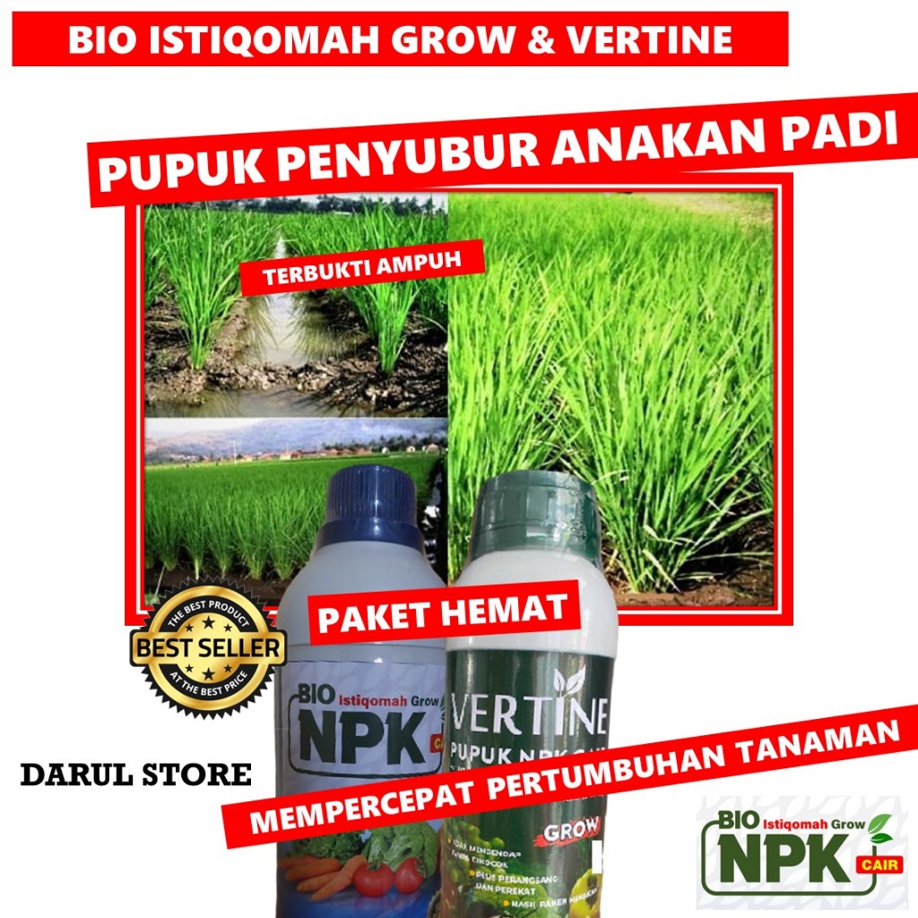 Jual Pupuk Penyubur Anakan Padi Vertine & Bio Istiqomah Grow Melebatkan Daun Padi Melebarkan ...