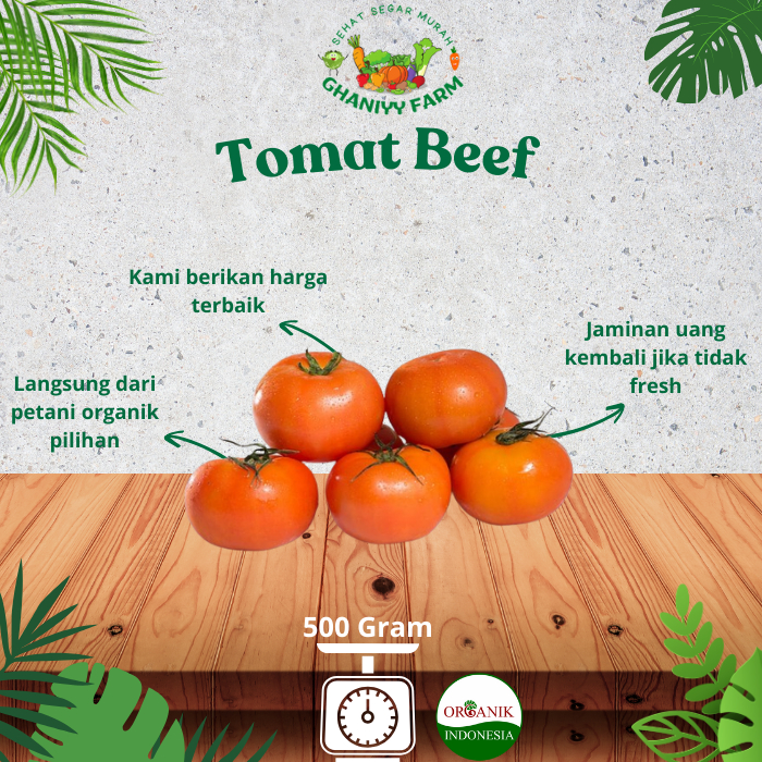 Jual Buah Tomat Beef Organik 500Gram | Shopee Indonesia