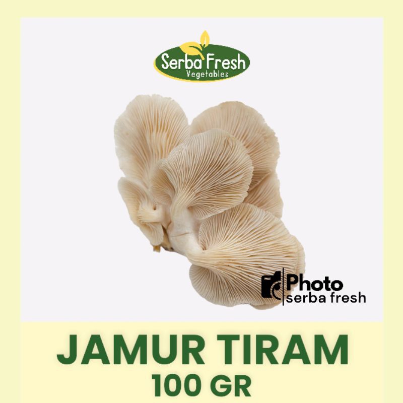 Jual Jamur Tiram Terlengkap & Harga Terbaru Juni 2026 | Shopee Indonesia