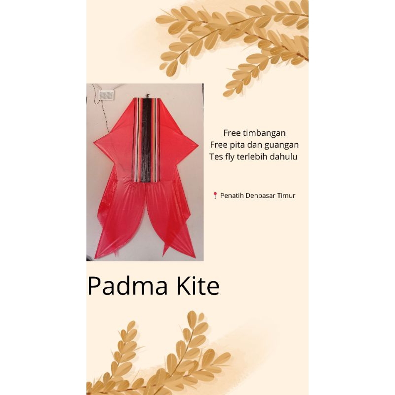 Jual LAYANGAN BEBEAN KHAS BALI | Shopee Indonesia