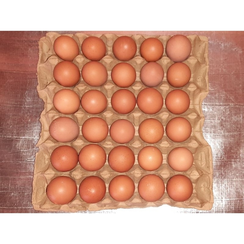 Jual TELUR AYAM GRADE A / 1 TRAY (30 BUTIR) | Shopee Indonesia