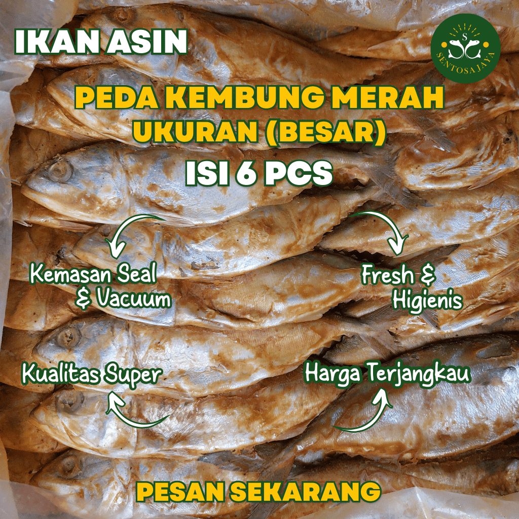 Jual Ikan Asin Peda Kembung Merah isi 6 pcs Ukuran (Besar) Peda Merah ...