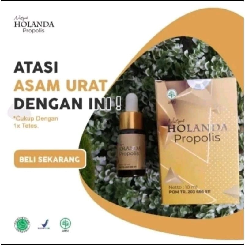 Jual Holanda Propolis Original Asli Obat Asam Urat Hipertensi Herbal ...