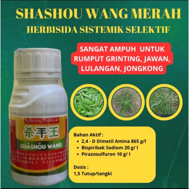 Jual Shashouwang Merah Herbisida Sistemik Selektif Khusus Rumput Jawan ...