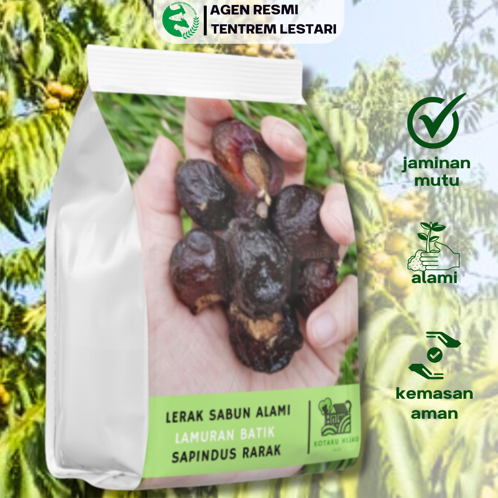 Jual Lerak Klerek 1 kg Sabun Alami Kotaku HIjau Kualitas Premium ...