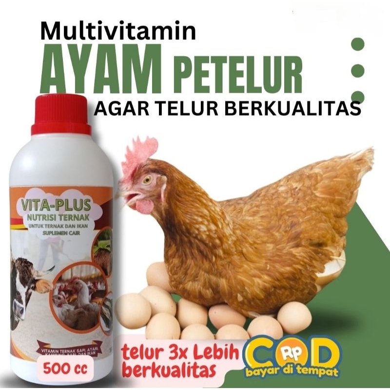 Jual Egg Stimulant Ayam Petelur, | vita plus Vitamin Ayam Petelur| Obat ...