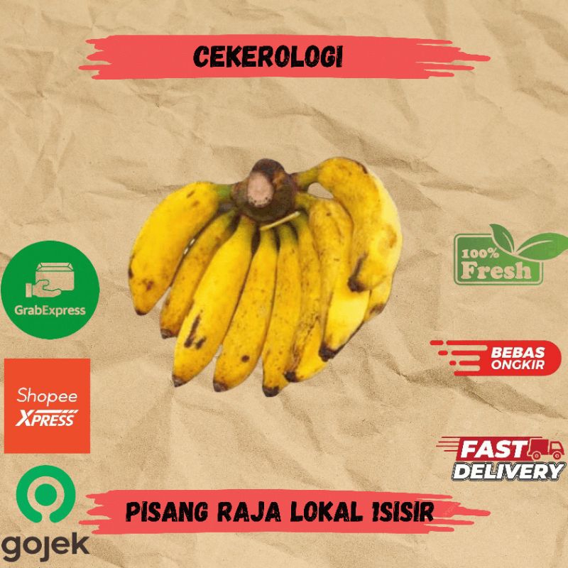 Jual Pisang Raja Lokal 1sisir / Pisang Raja Lokal / Pisang Raja ...