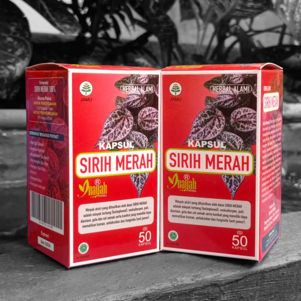 Jual Kapsul Sirih Merah 60 kpsl Original | Terapi Ginjal, Stroke ...