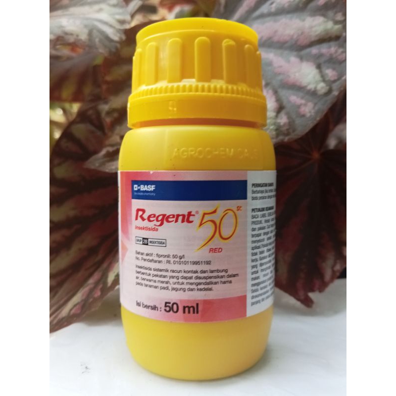 Jual Insektisida Regent RED 50SC kemasan 50ml | Shopee Indonesia