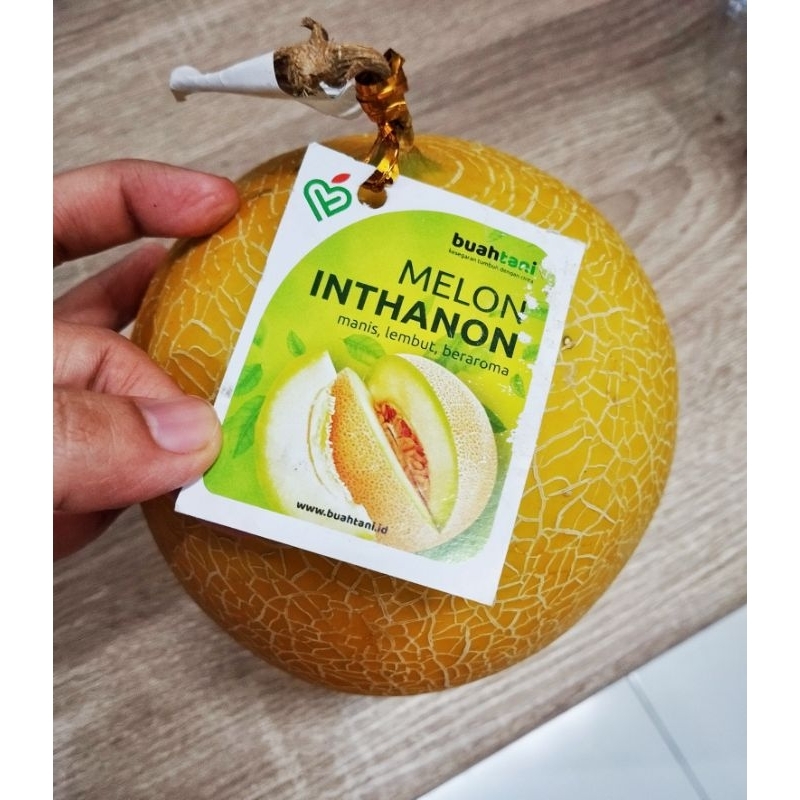 Jual MELON INTHANON / EMERALD PREMIUM MANIS | Shopee Indonesia