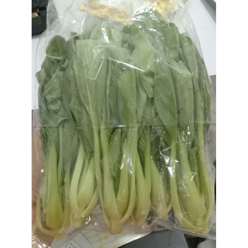 Jual baby pakcoy 250gr | Shopee Indonesia