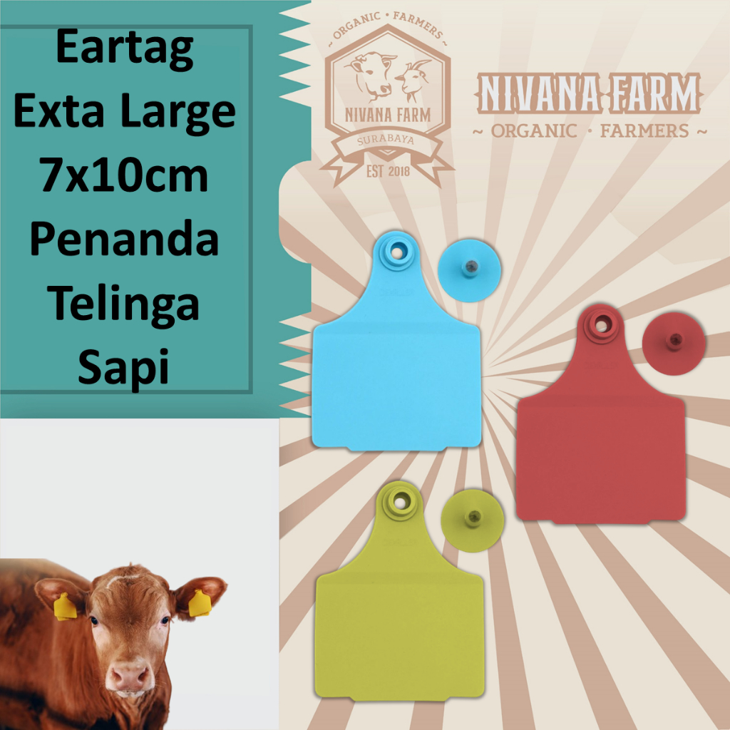 Jual Eartag Sapi Ukuran 7 x 10 cm Penanda Telinga Sapi Kerbau Kambing ...