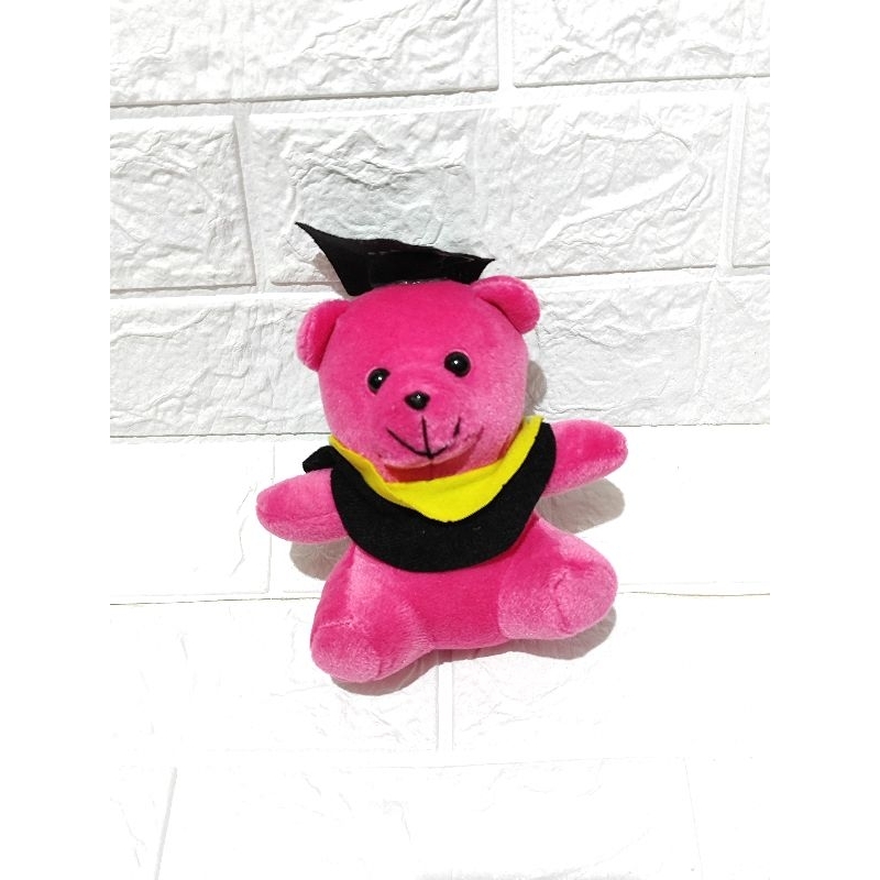 Jual BONEKA GRADUATION TOGA / BONEKA TADDY GRADUATION / BONEKA WISUDA ...