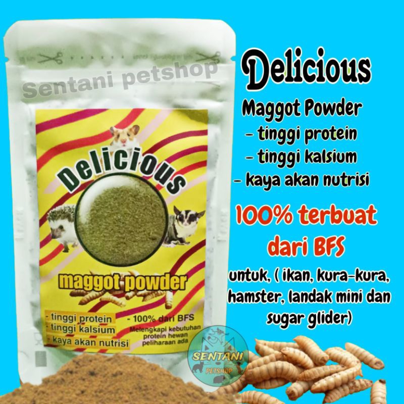 Jual Tepung maggot - protein sugar glider - makanan sugar glider ...