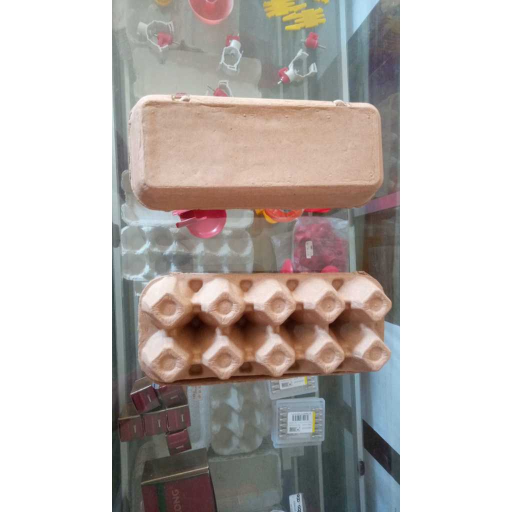 Jual Box tempat telur karton (egg box) isi 10 butir | Shopee Indonesia
