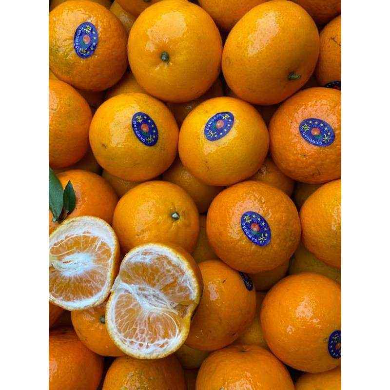 Jual Jeruk Wogan / Jeruk Wokam Mandarin Manis Segar 1KG | Shopee Indonesia