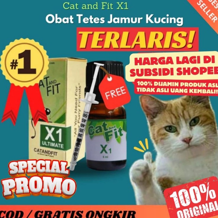 Jual Bayar Di Tempat jamur kutu kucing dan scabies kucing cat and fit ...