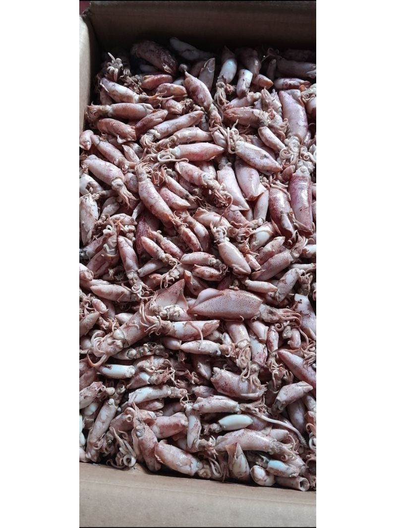 Jual Cumi rebus asin 1kg | Shopee Indonesia