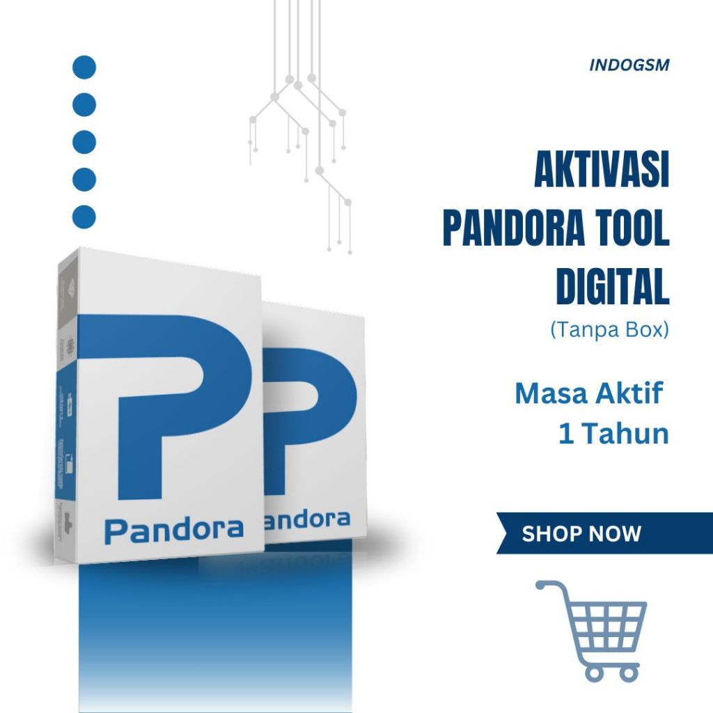 Jual Aktivasi Pandora Tool Digital | Shopee Indonesia