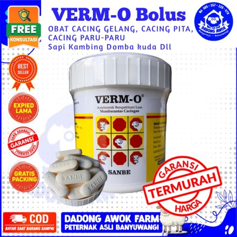 Jual VERM O BOLUS 42 SANBE OBAT CACING GELANG CACING PITA CACING PARU ...