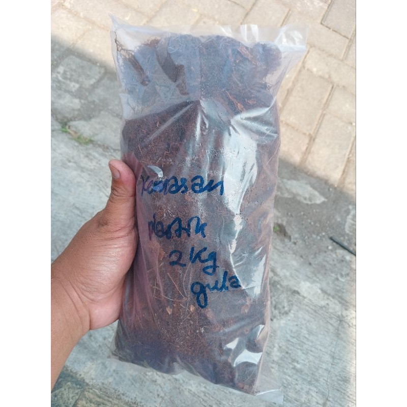 Jual Moss Hitam kemasan plastik 2kg untuk Anggrek Hoya Dischidia dll ...