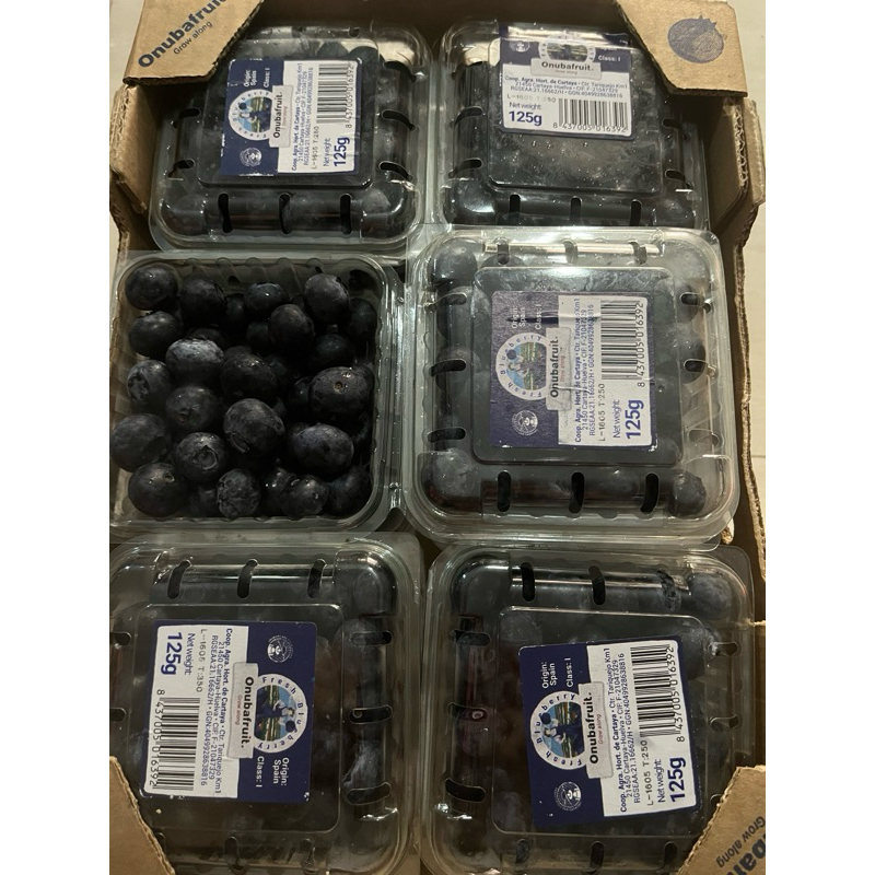Jual Blueberry 125 gram per pack bukan frozen manis segar enak | Shopee ...
