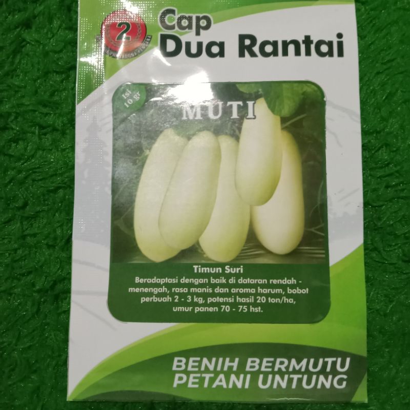 Jual Benih timun suri mas putih MUTI isi kemasan 10 gram | Shopee Indonesia