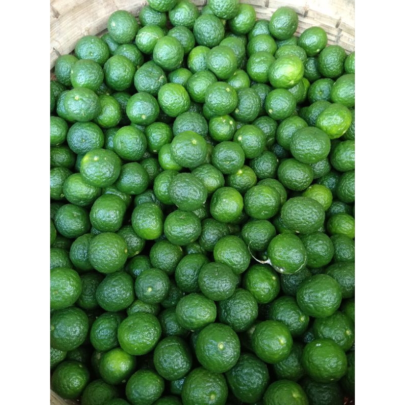 Jual JERUK LIMAU 1KG UKURAN BESAR | Shopee Indonesia