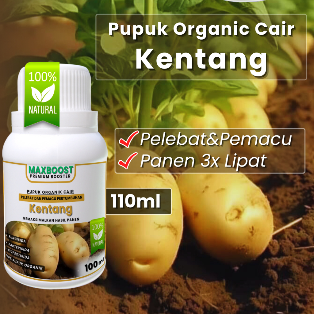 Jual Pupuk Organik Cair Tanaman Kentang, Booster Cair Kentang, Poc ...