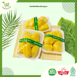 Jual Buah Nangka Terlengkap & Harga Terbaru Maret 2026 | Shopee Indonesia