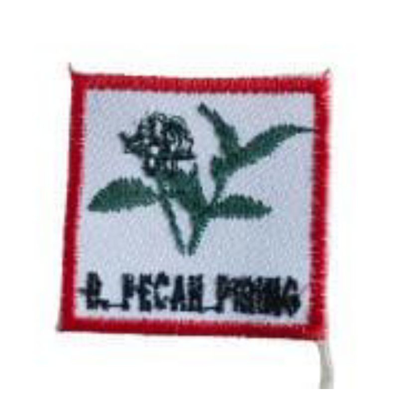 Jual BET / BADGE REGU PRAMUKA BORDIR SUPER Nama Nama BUNGA ( Harga 1 ...