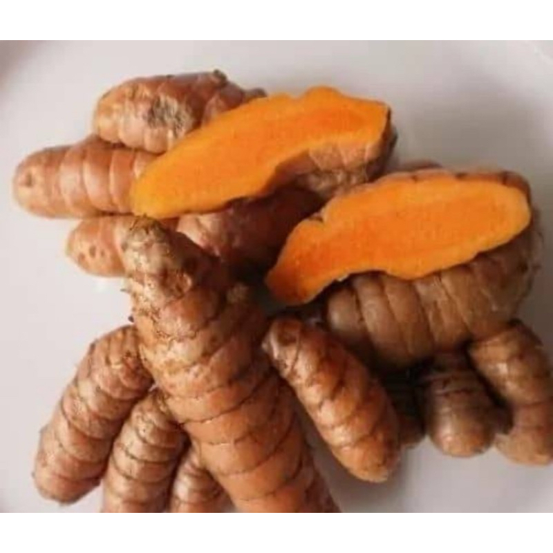Jual Kunyit segar atau kunir segar 1 kg rempah indonesia | Shopee Indonesia