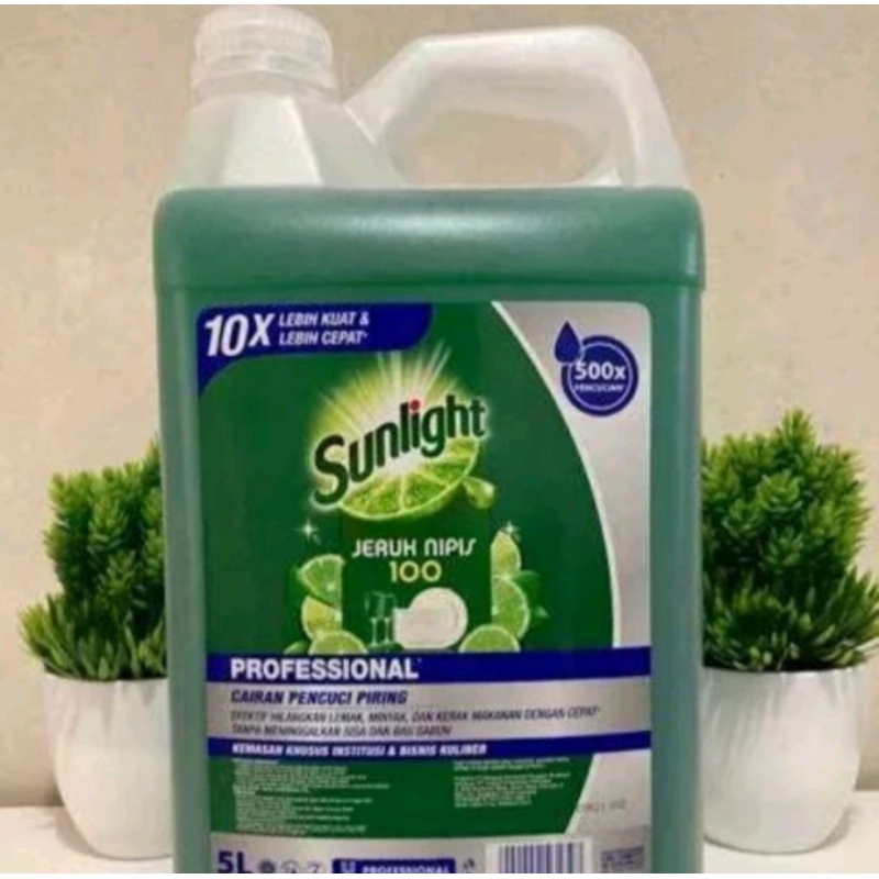 Jual Sunlight 5 Liter | Shopee Indonesia