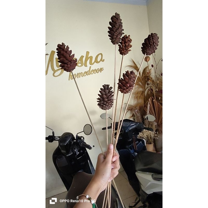 Jual Pinus stik bunga | bunga kering | bunga rustic | pampas | Shopee ...