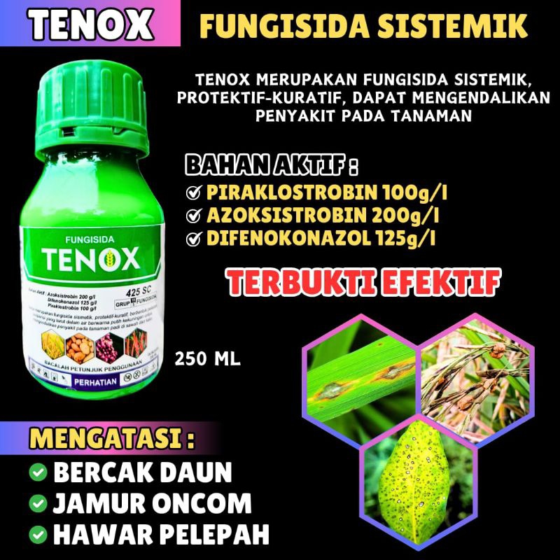 Jual Solusi petani atasi jamur ,fungisida sistemik dan kontak ...