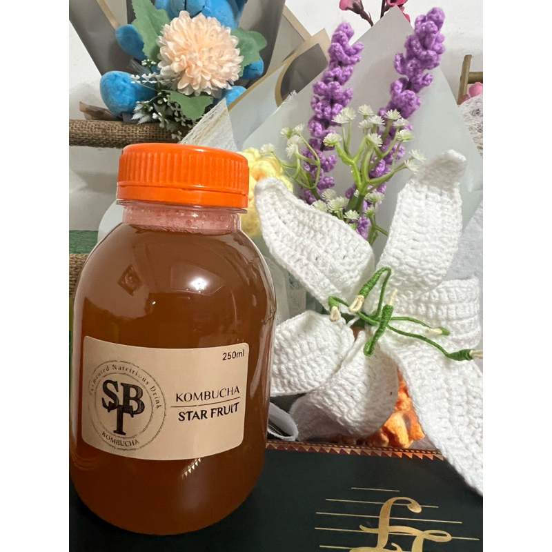 Jual KOMBUCHA STAR FRUIT 250ml | Shopee Indonesia