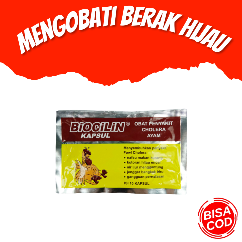 Jual Biocilin, Obat Penyakit Cholera Ayam, Nafsu Makan Kurang, Kotoran ...