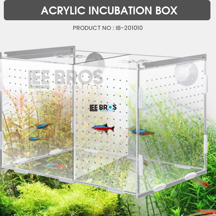 Jual Kirim Sekarang Acrylic Incubation Box Isolation Box Akrilik ...