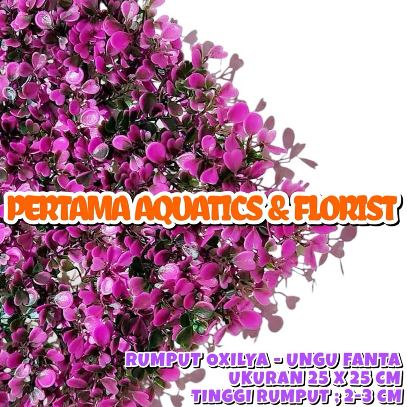 Jual RUMPUT OXILYA WARNA Ukuran 25X25 Cm/ RUMPUT DASAR/ RUMPUT HIASAN ...