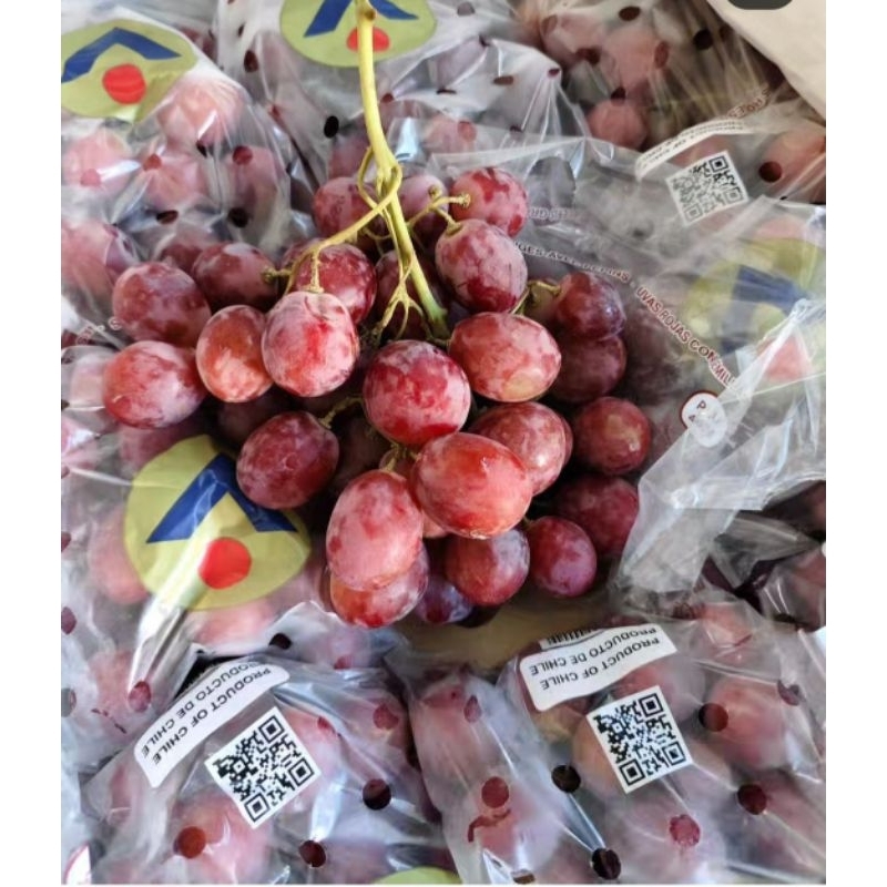 Jual Anggur Red Globe Chille 1 kardus 7 kg | Shopee Indonesia